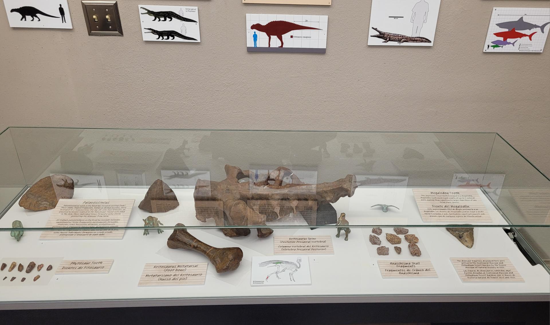 Centennial Dinosaurs